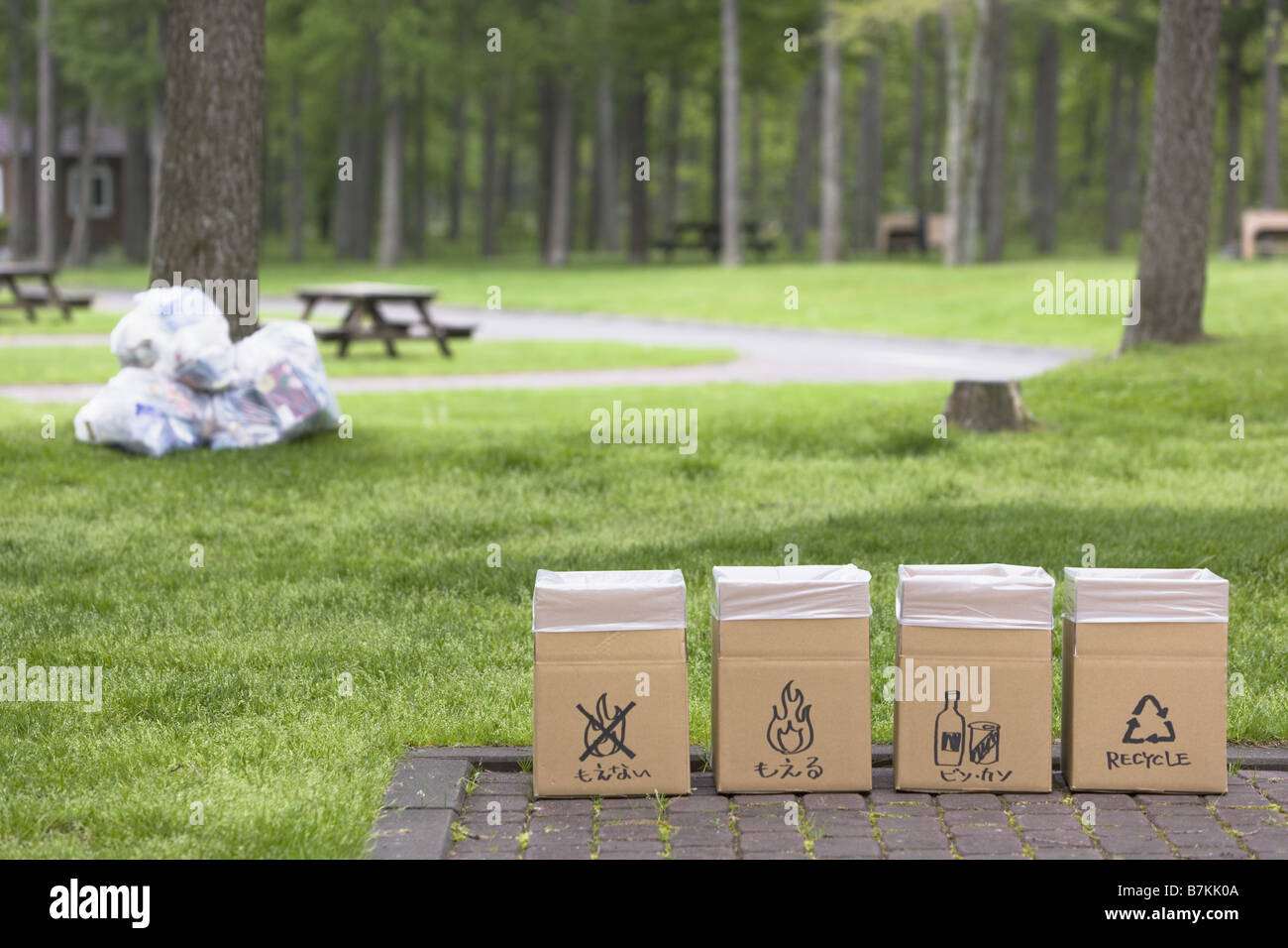 Recycling Bin and Dust Bin Stock Photo - Alamy
