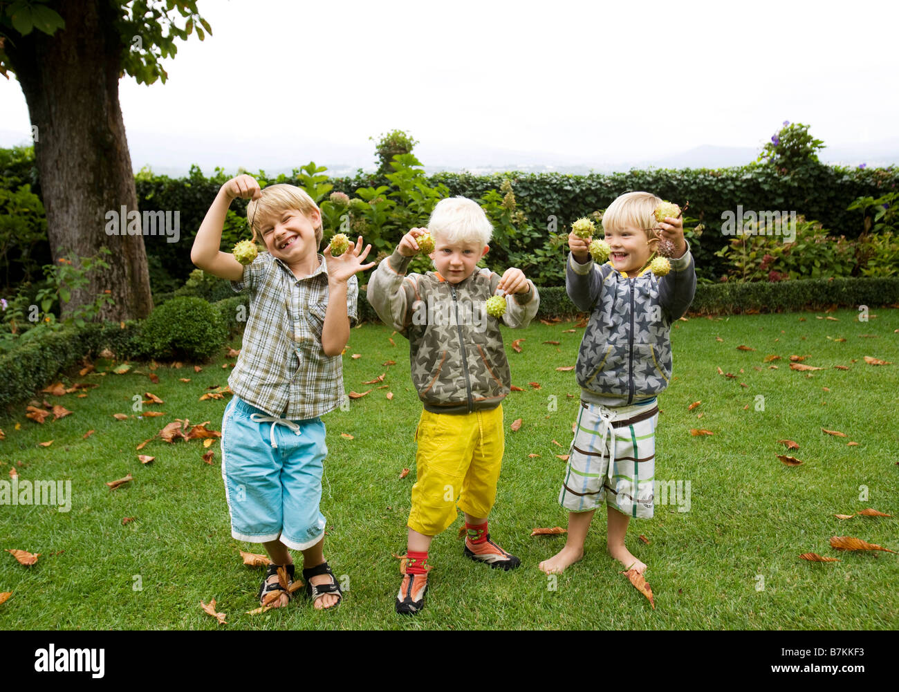 3 boys portrait Stock Photo - Alamy