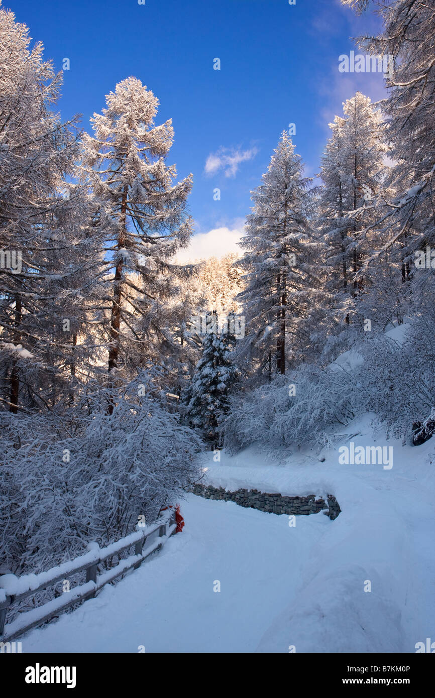 Mountain road in snowy hi-res stock photography and images - Alamy