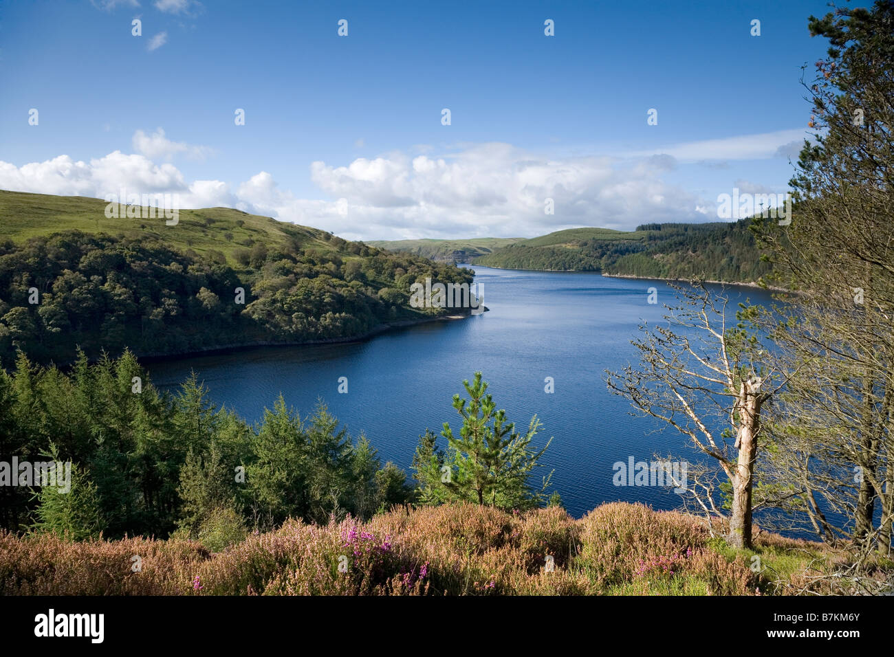 Llyn Brianne reservoir Carmarthenshire Stock Photo - Alamy