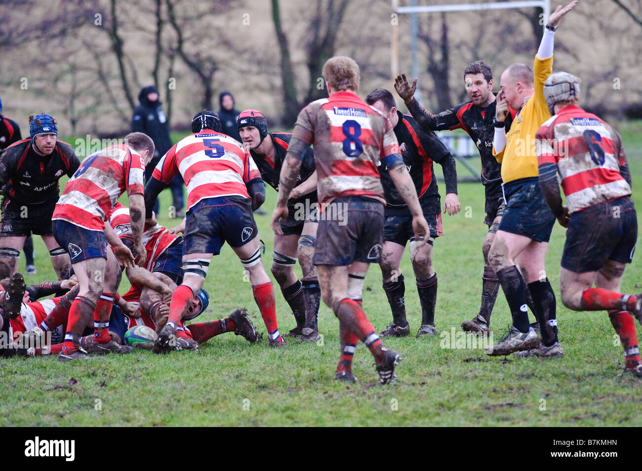 Rugby scotland scrum hi-res stock photography and images - Alamy