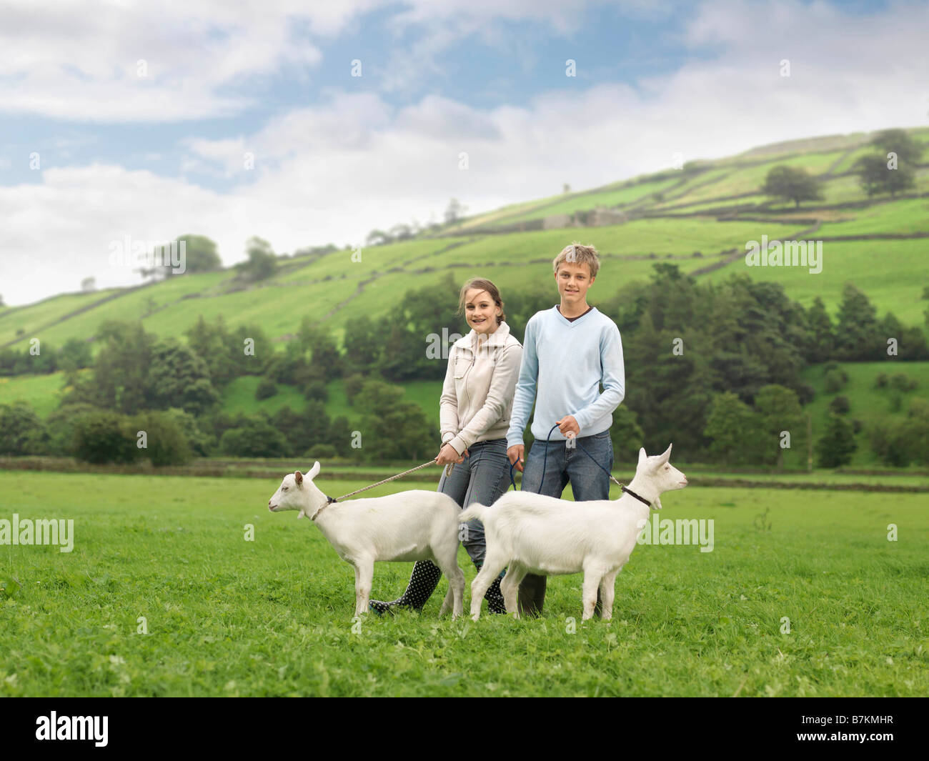 Goat Family High Resolution Stock Photography and Images - Alamy