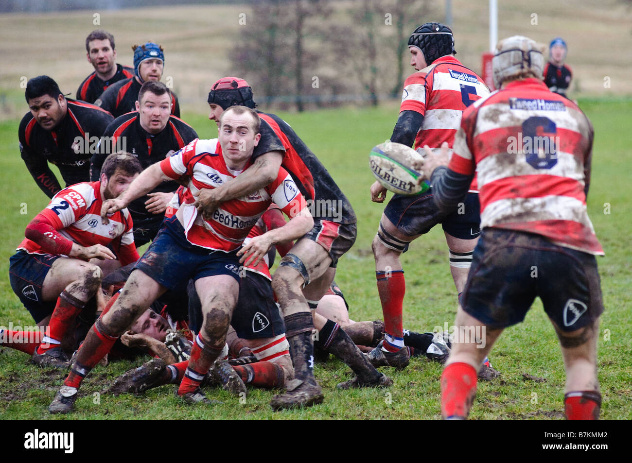Scottish Rugby - Biggar v Peebles Stock Photo - Alamy