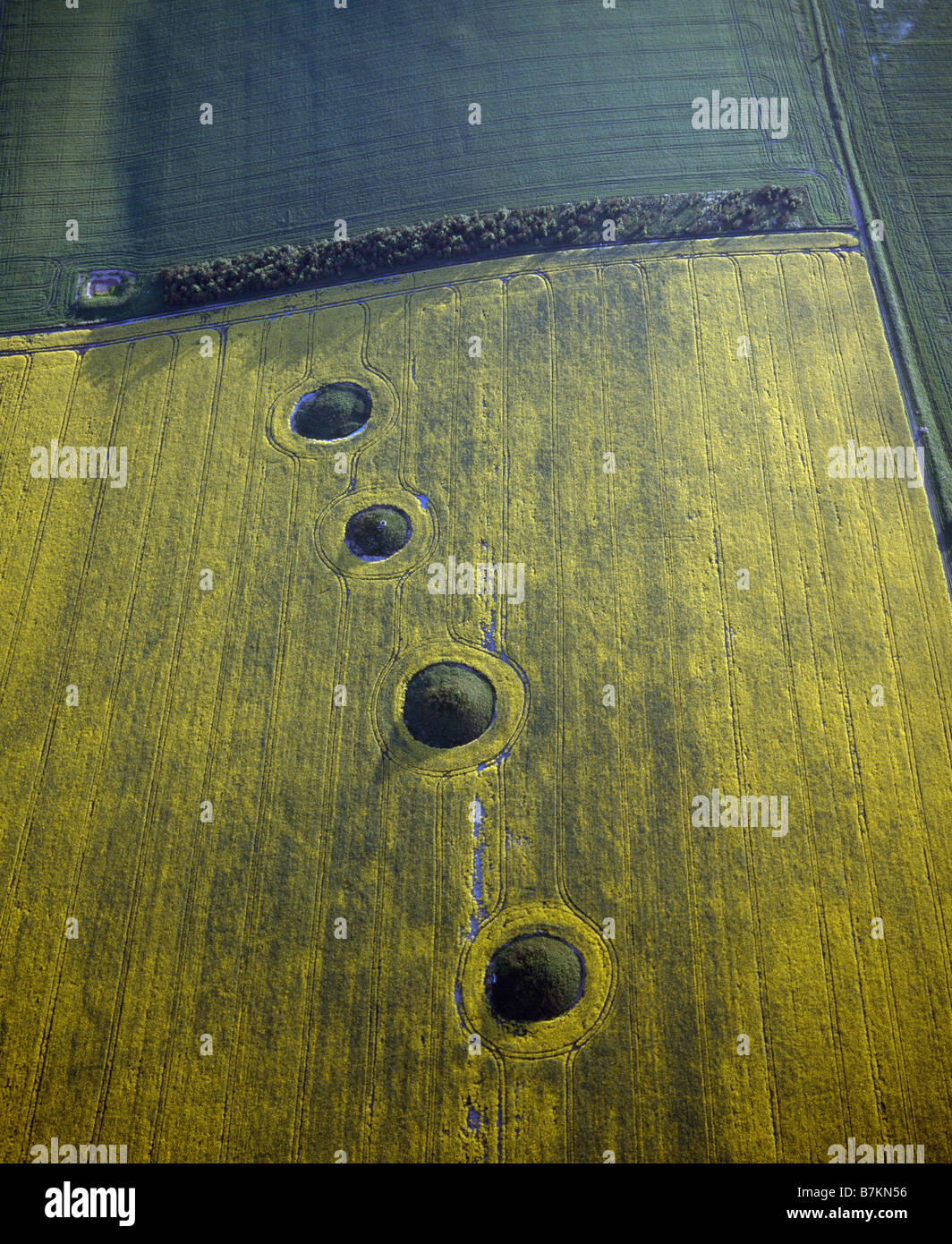 Round Barrows Round Barrows Wiltshire Stock Photo - Alamy