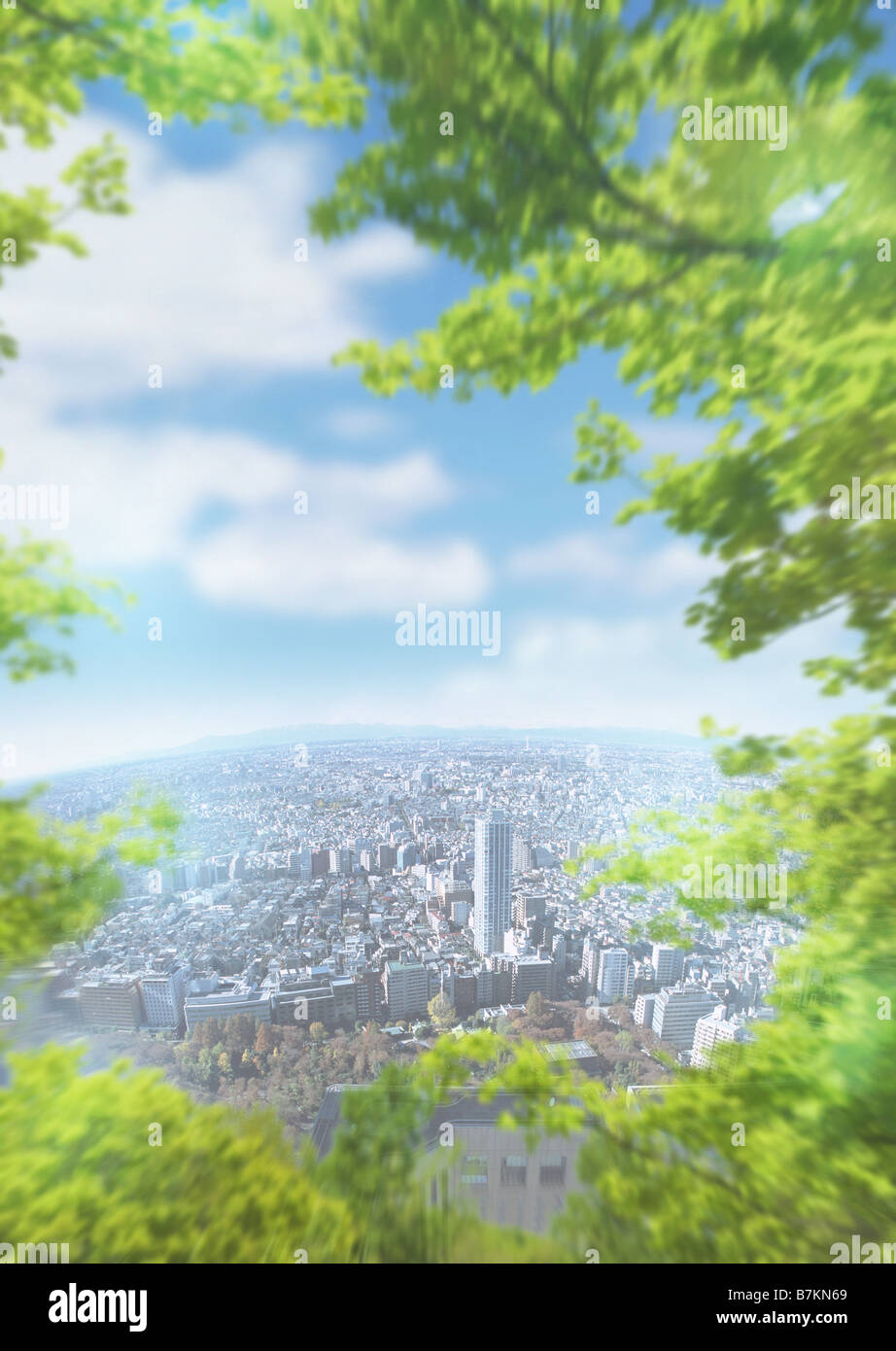 Tree and urban area Stock Photo - Alamy