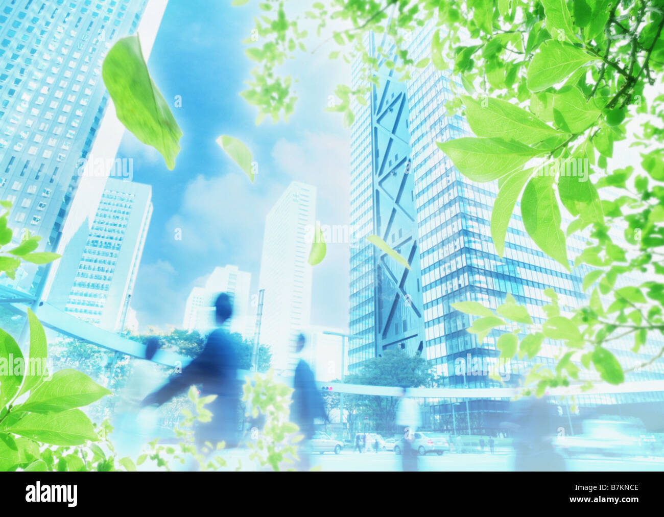 Tree and buildings Stock Photo - Alamy