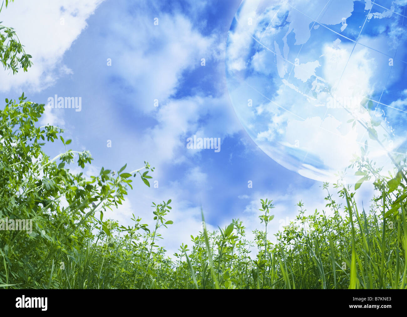 Blue sky and glassland Stock Photo - Alamy