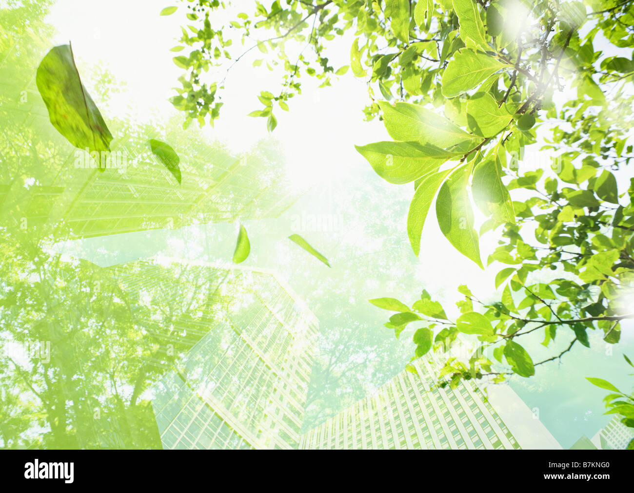 Buildings and leaves Stock Photo - Alamy