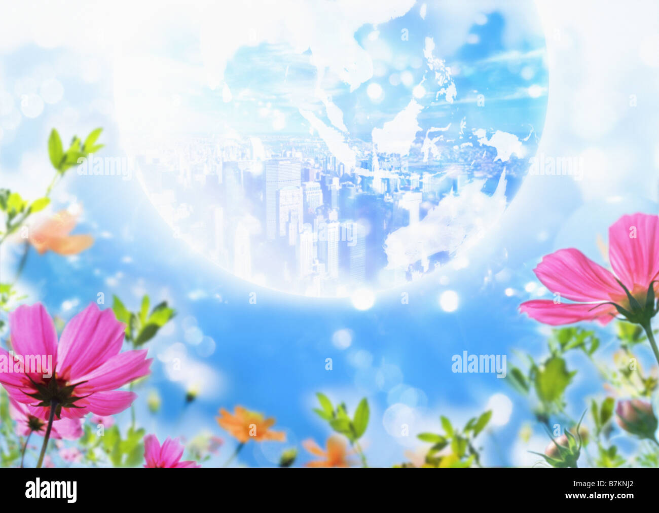 Urban area and flowers Stock Photo - Alamy