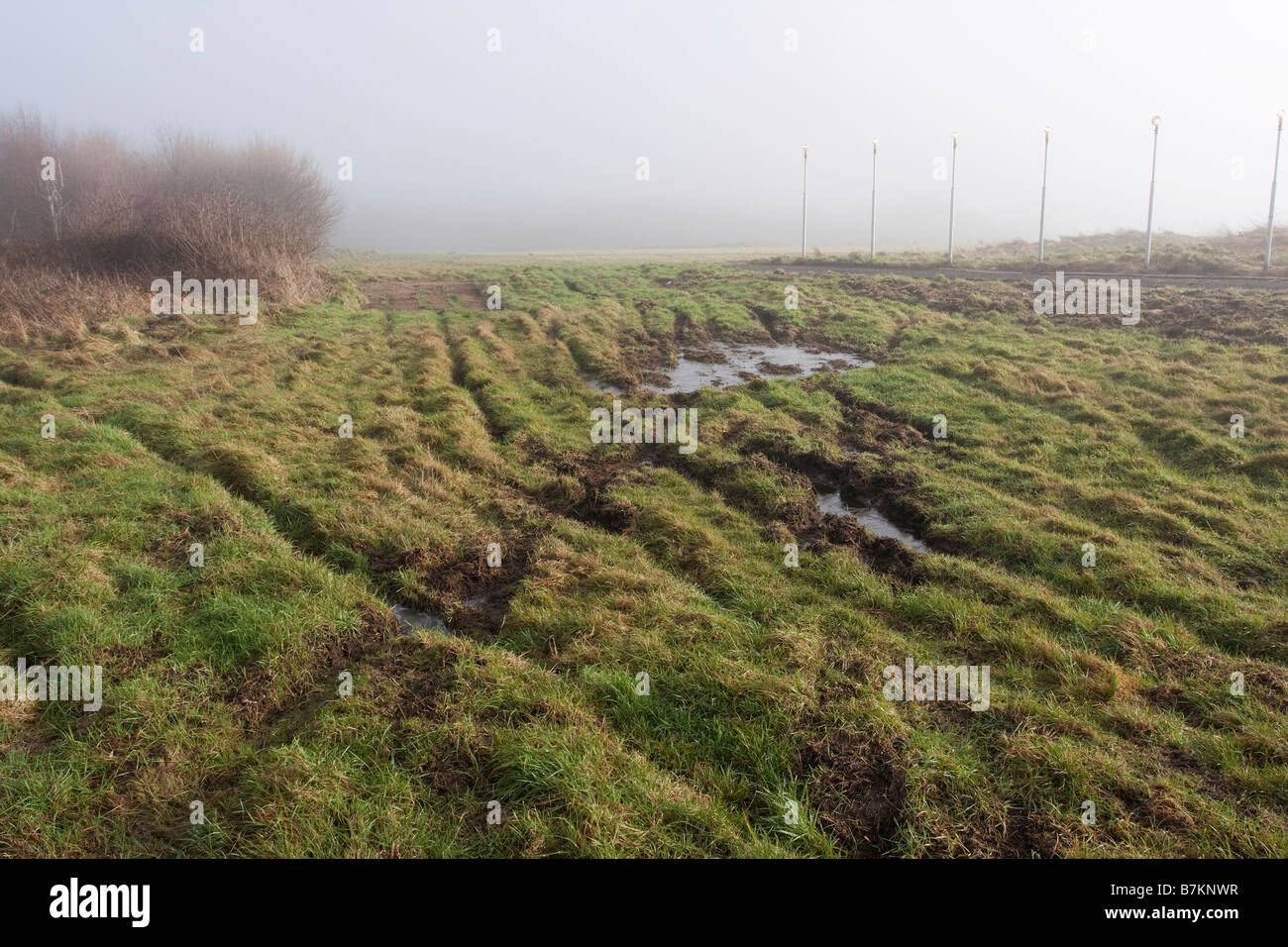 muddy tracks accross a grass field in winter Stock Photo - Alamy