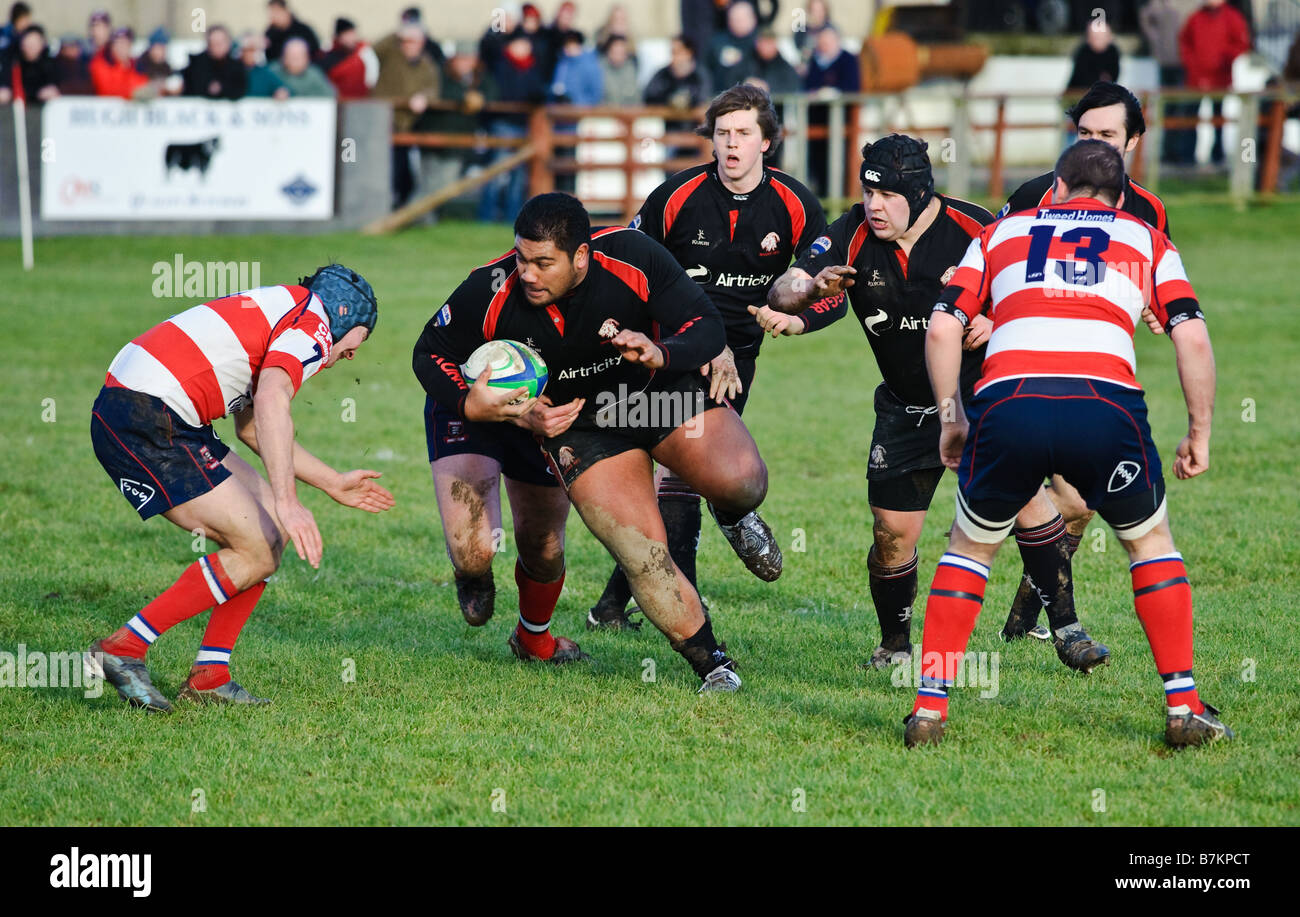 Scottish Rugby - Biggar v Peebles Stock Photo - Alamy