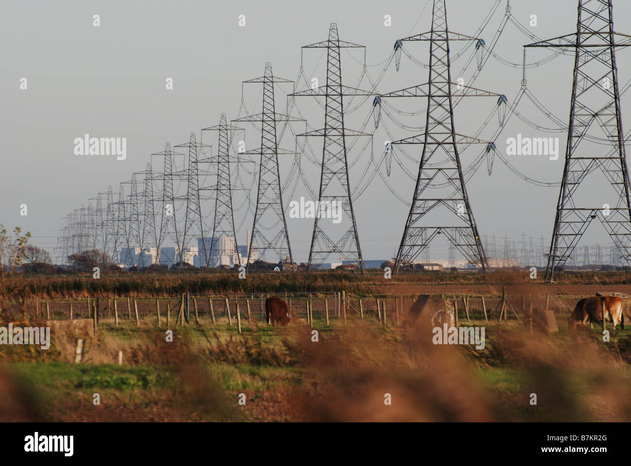 Long line of pylons leading to Dungeness nuclear power station in ...