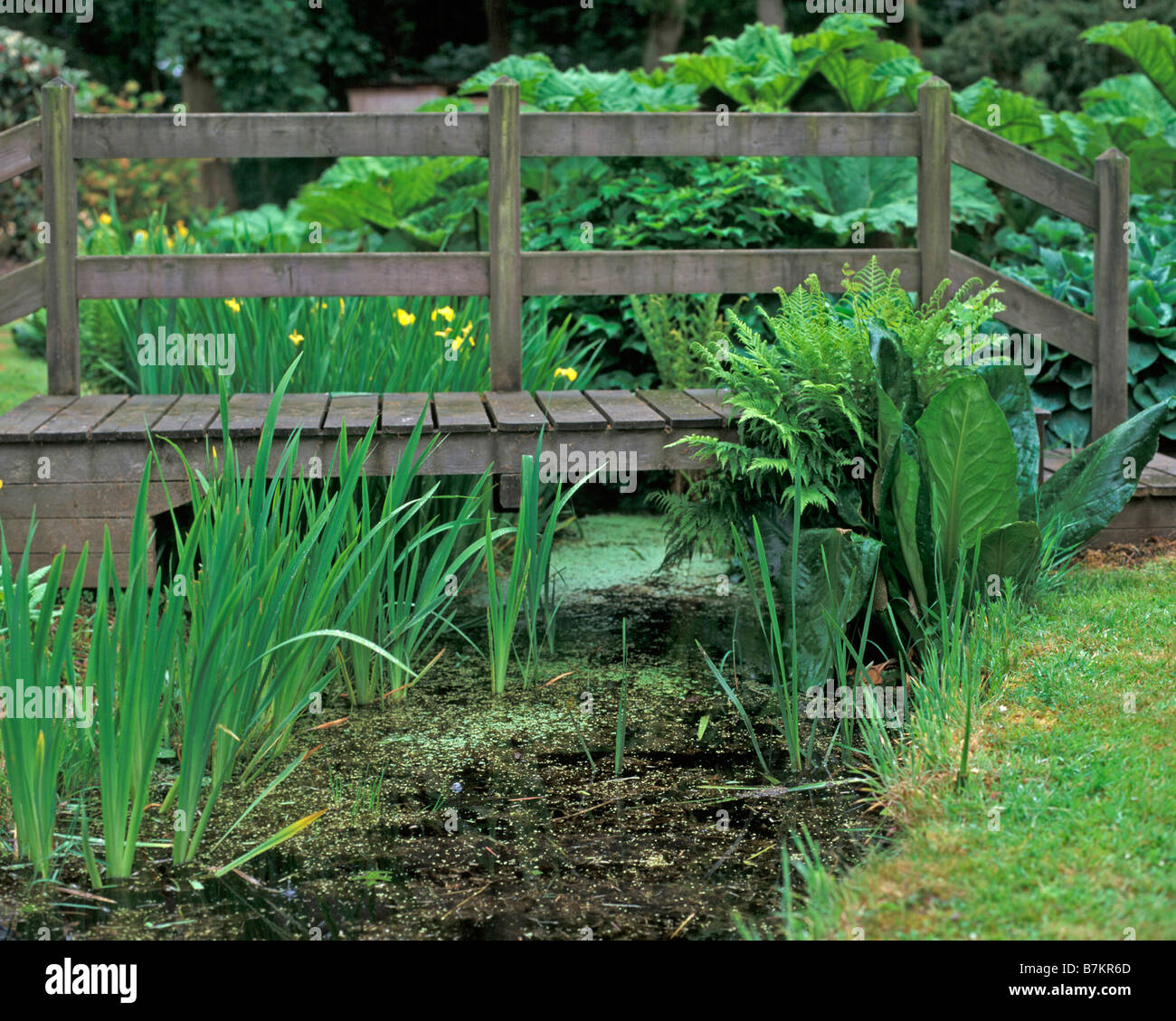 Bridge over stream in hi-res stock photography and images - Alamy