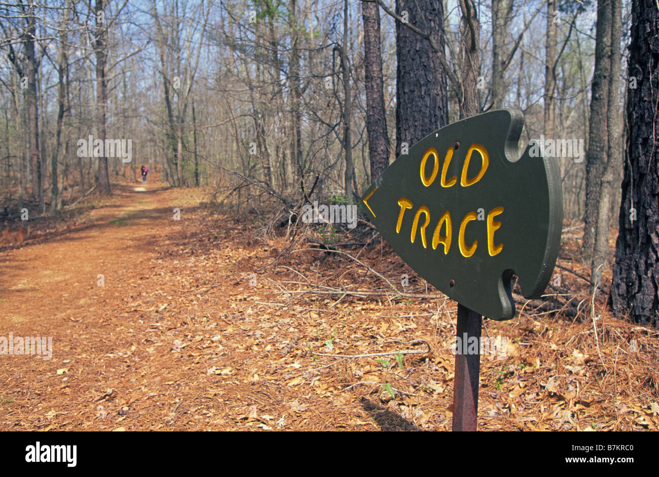 Along natchez trace in hi-res stock photography and images - Alamy