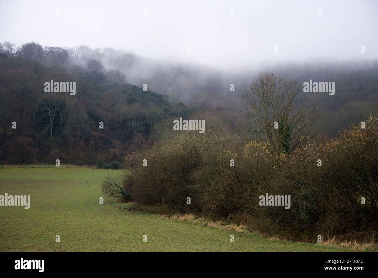 Cloudy Mist On South Downs Stock Photo - Alamy