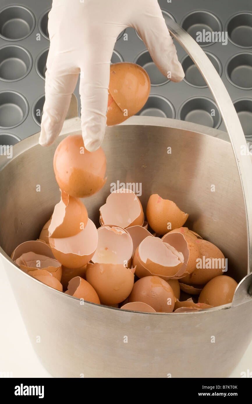 Egg Shells Waste Stock Photos & Egg Shells Waste Stock Images - Alamy