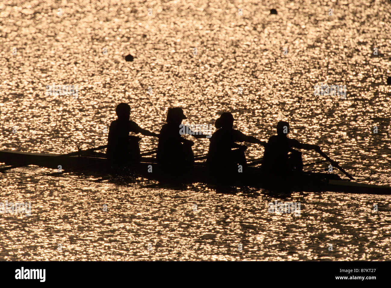 Silhouette of women s fours rowing team Stock Photo - Alamy