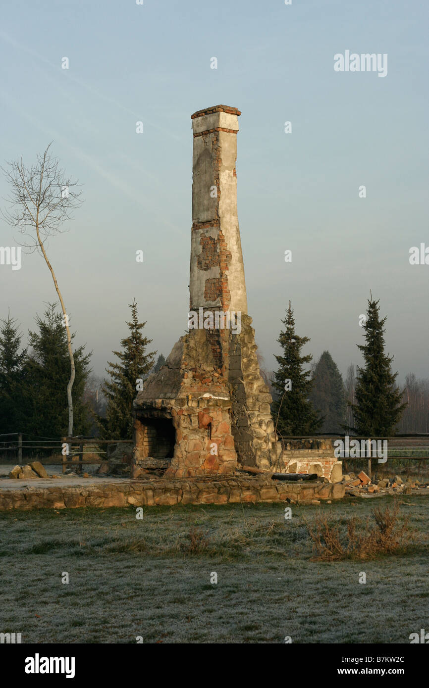 Chimney and fireplace remained among ruins of an old farm house Stock ...