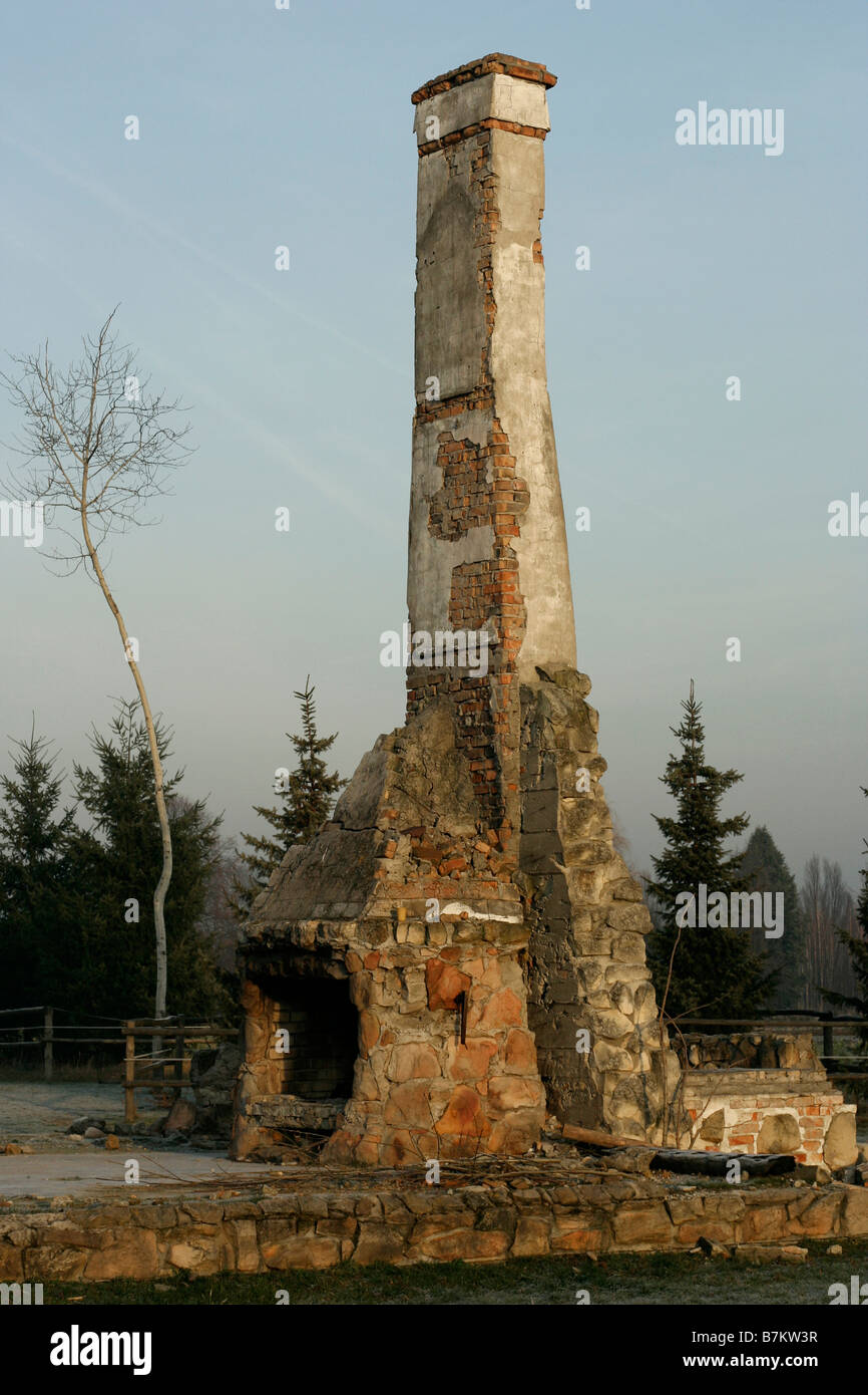 Chimney and fireplace remained among ruins of an old farm house Stock ...
