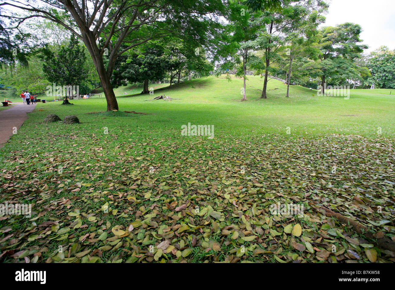 Parque Omar Torrijos Park, Panama City Stock Photo - Alamy