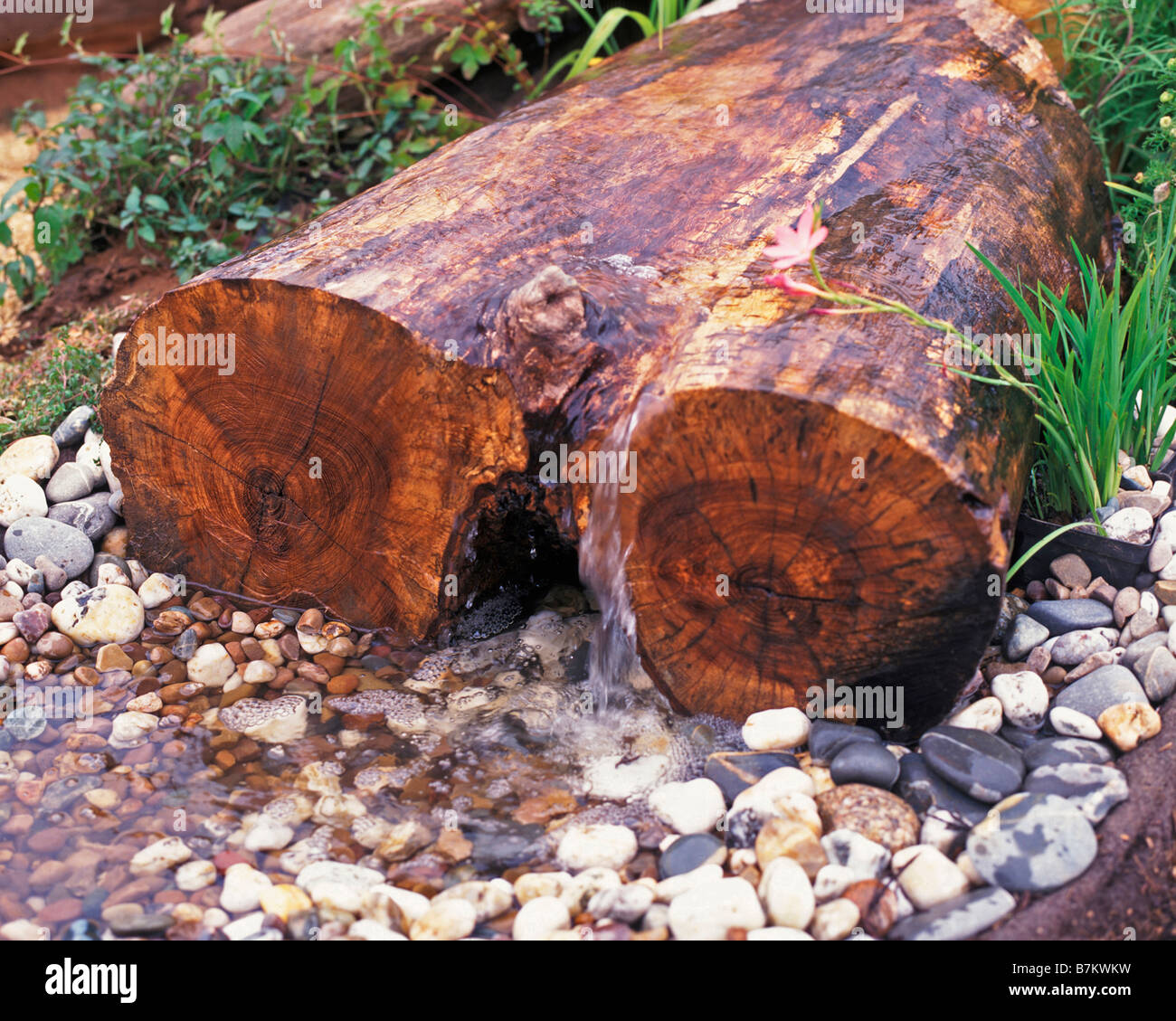 AN OLD DEAD LOG MAKES AN UNUSUAL WATERFALL IN A WATER FEATURE Stock ...