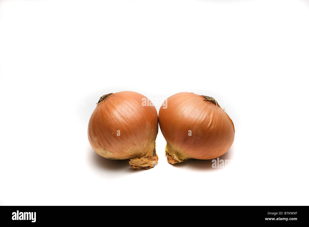 two onions on a white background Stock Photo - Alamy
