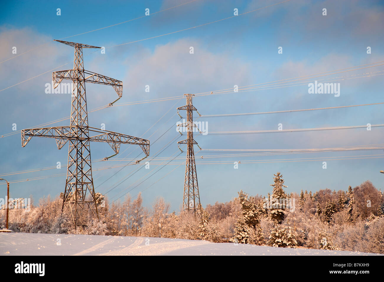 Powerline in Winter Stock Photo - Alamy