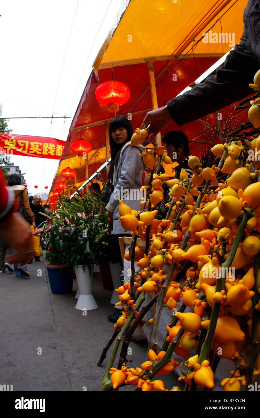Flower festival in guangzhou hi-res stock photography and images - Alamy