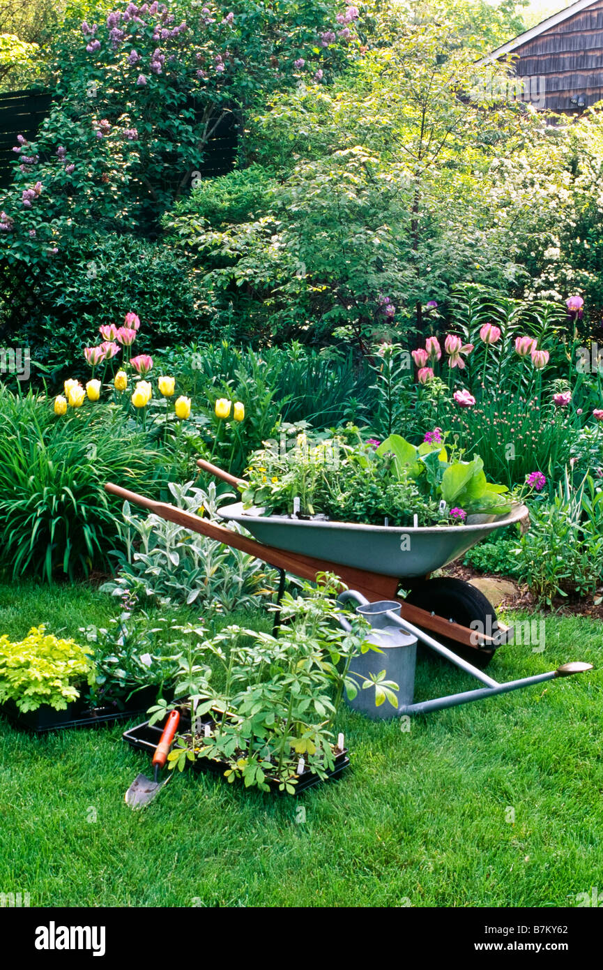 Annual garden flowers in wheelbarrow hi-res stock photography and ...
