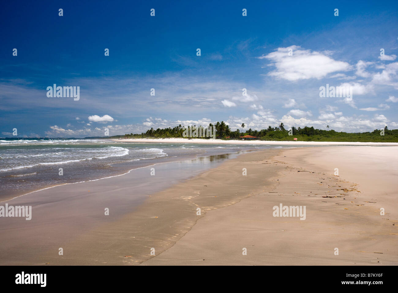 Large empty sandy beach in Brazil Stock Photo - Alamy