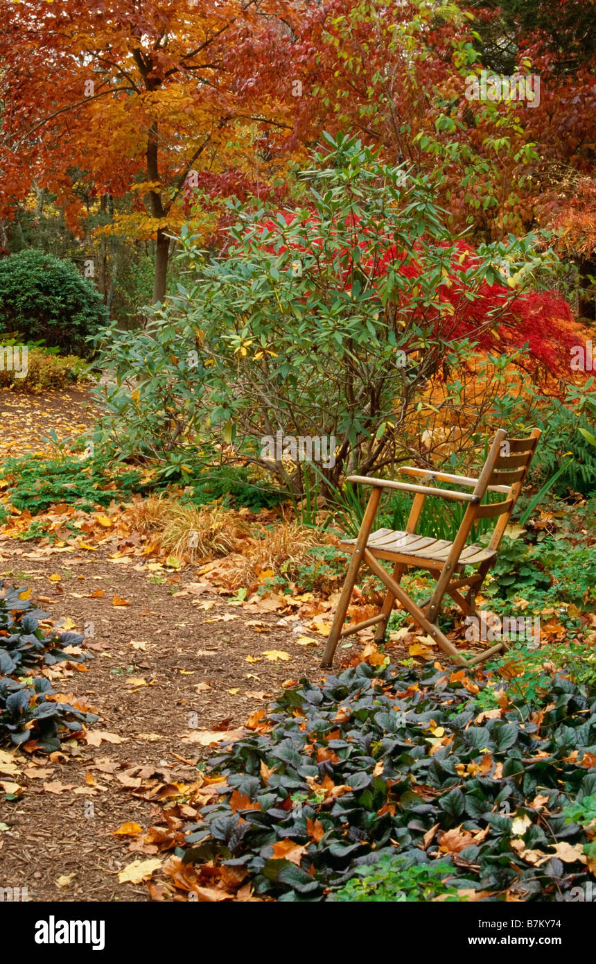 A chair situated along a path in a colorful fall garden makes an ...