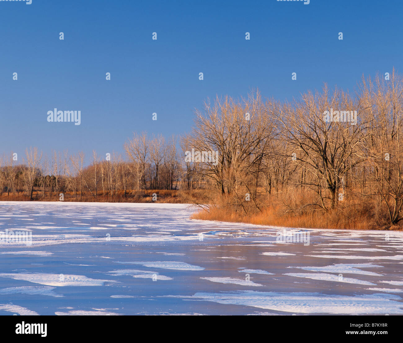 Frozen marsh creek hi-res stock photography and images - Alamy