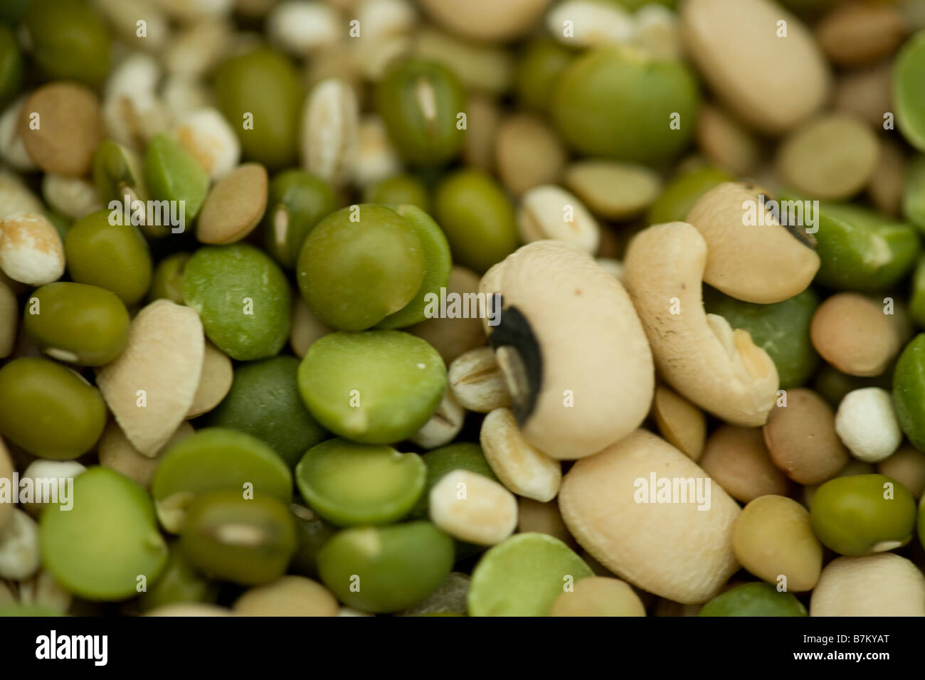 Beans and lentils hi-res stock photography and images - Alamy