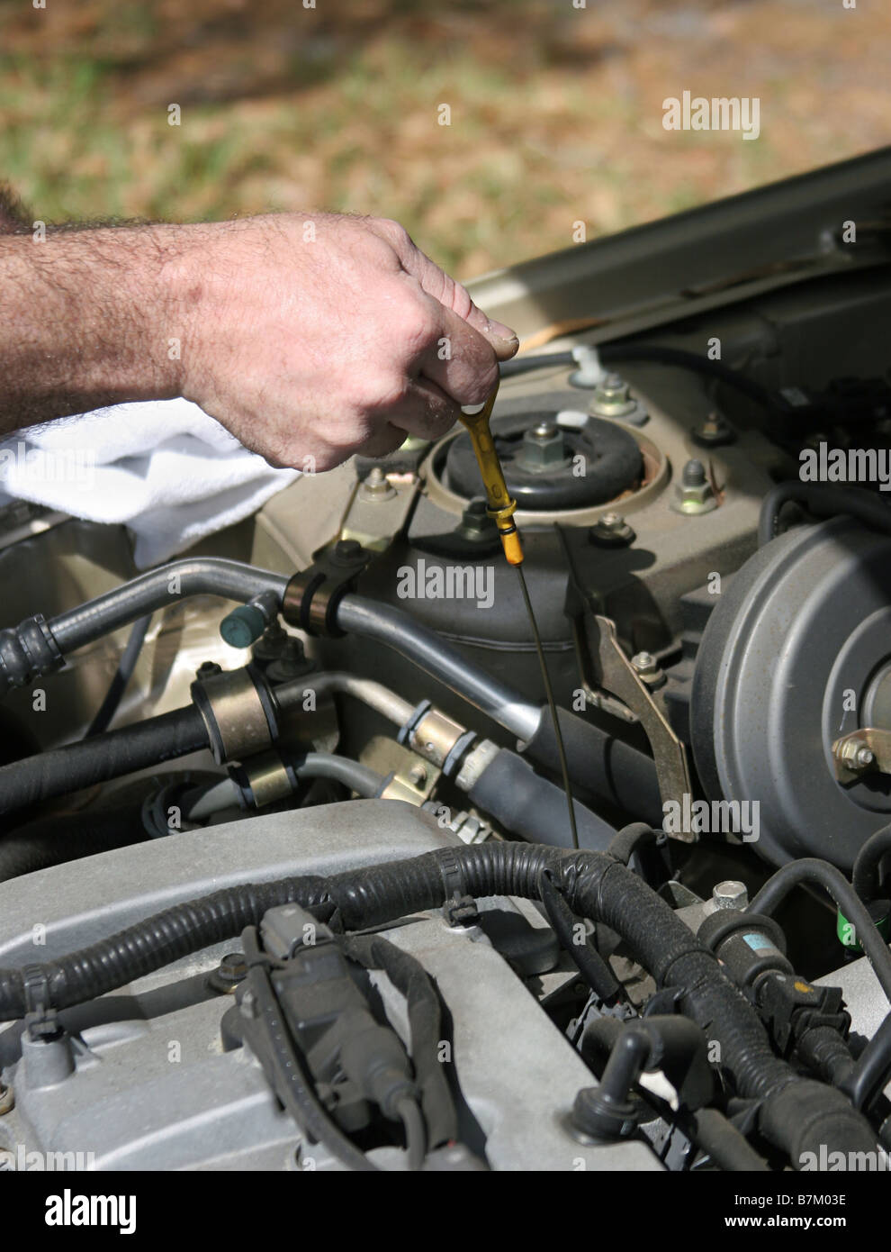 A closeup of a mechanic s hand pulling on the dipstick to check a car s ...