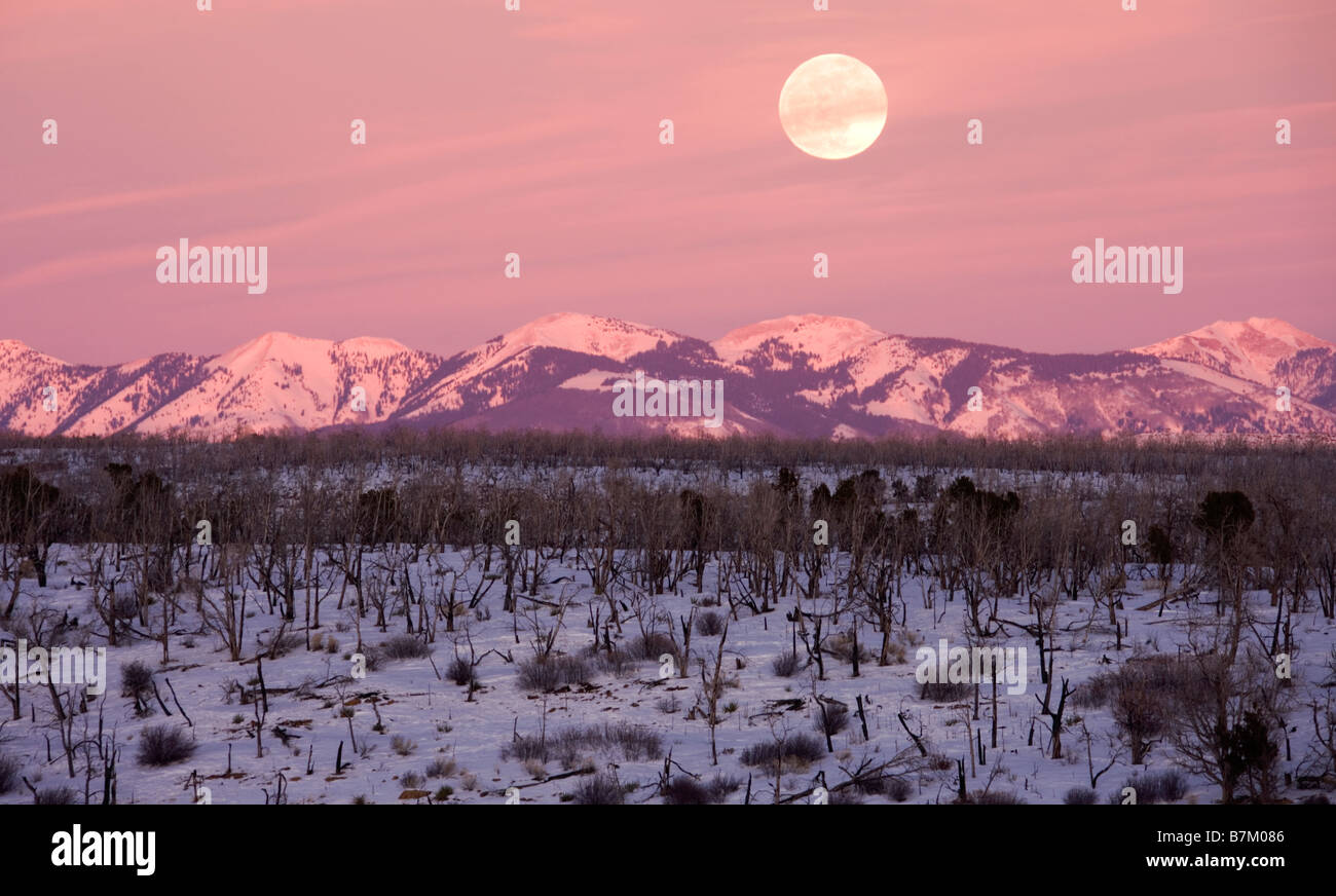 Full moon rises over snow covered mountains in Mesa Verde National Park ...