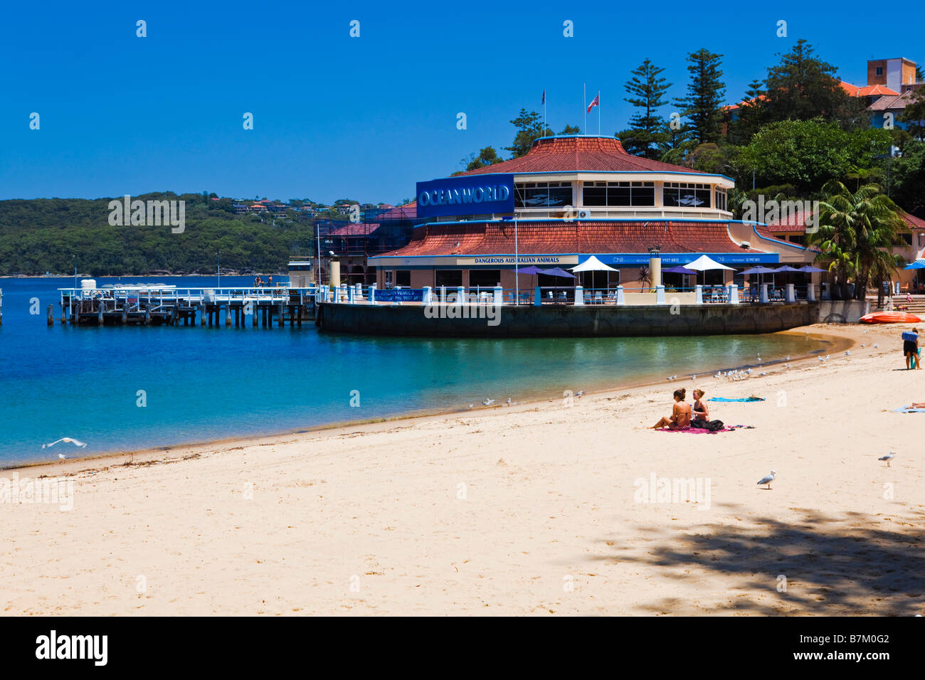 Manly Foreshore Beach High Resolution Stock Photography and Images - Alamy