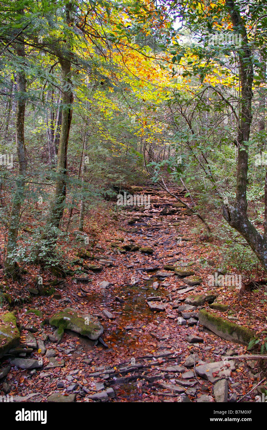 Dry leaves rocks change hi-res stock photography and images - Alamy