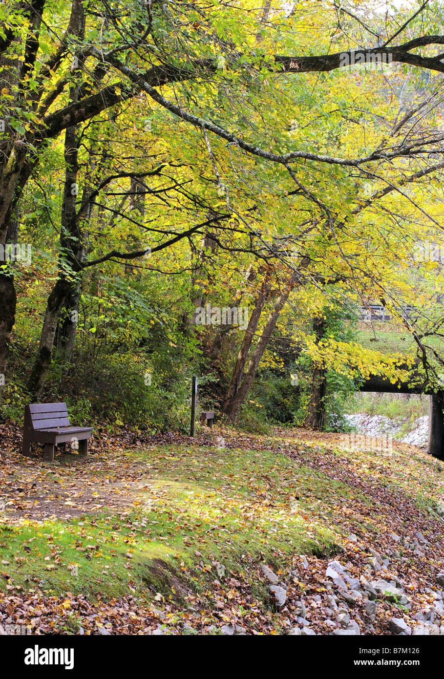 Bench By The Stream, No. 2 Stock Photo - Alamy