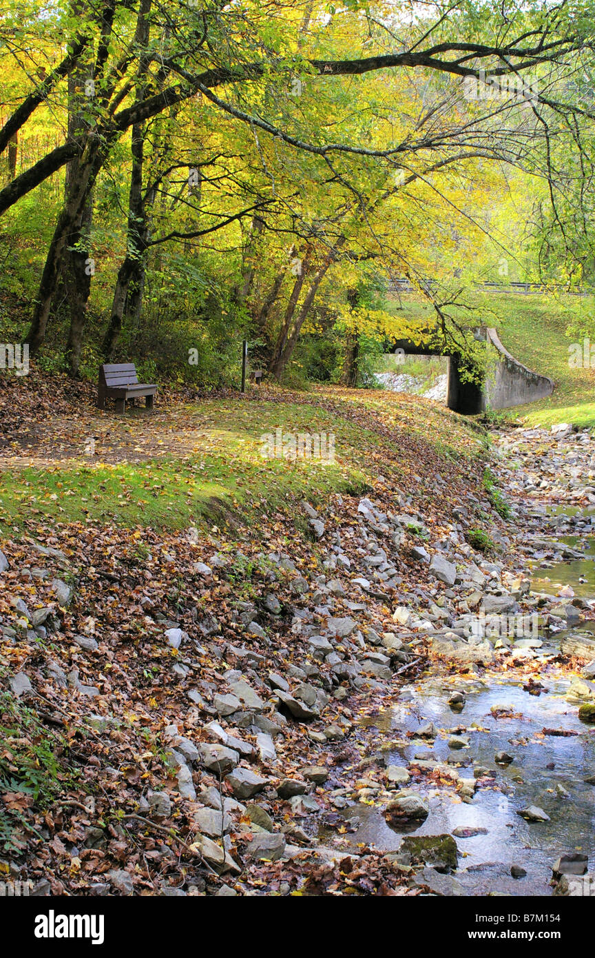 Picnic bench texture hi-res stock photography and images - Alamy