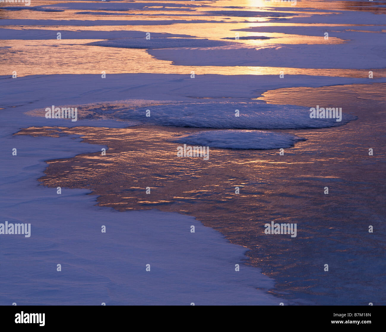 frozen pond, Torkelson Pits Wildlife Area, Iowa Stock Photo - Alamy