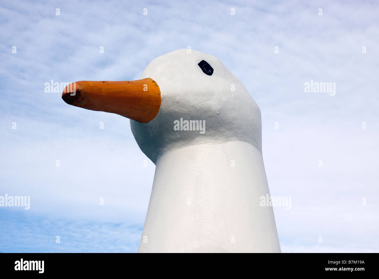 The Big Duck, a monument to the Long Island, New York duck farming ...