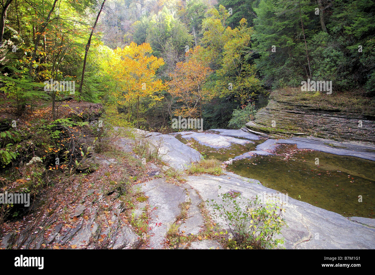 Tennessee rocky river hi-res stock photography and images - Alamy