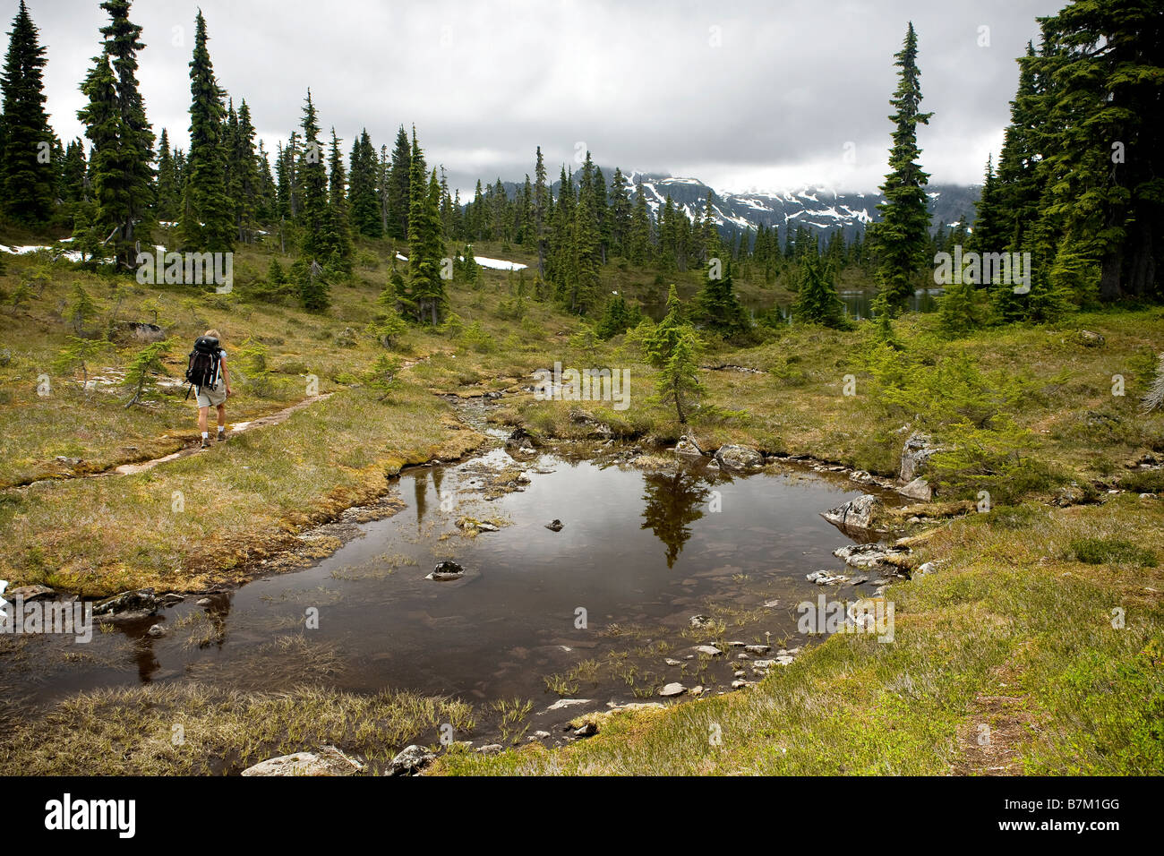 BRITISH COLUMBIA - Hiker near Hairtrigger Lake in the Forbidden Plateau ...