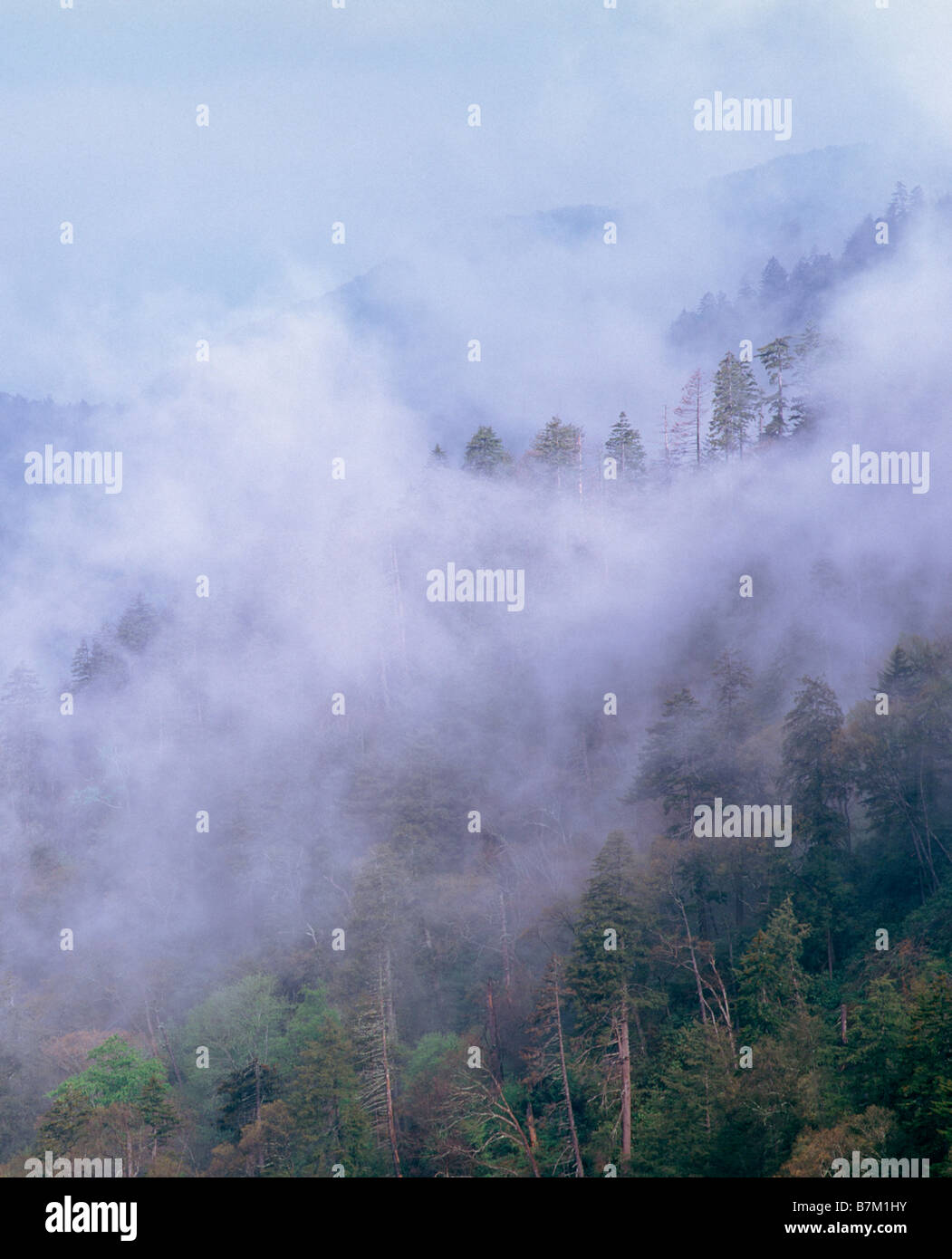 rising fog creating the "smoke" in the Smoky Mountains; from Morton ...