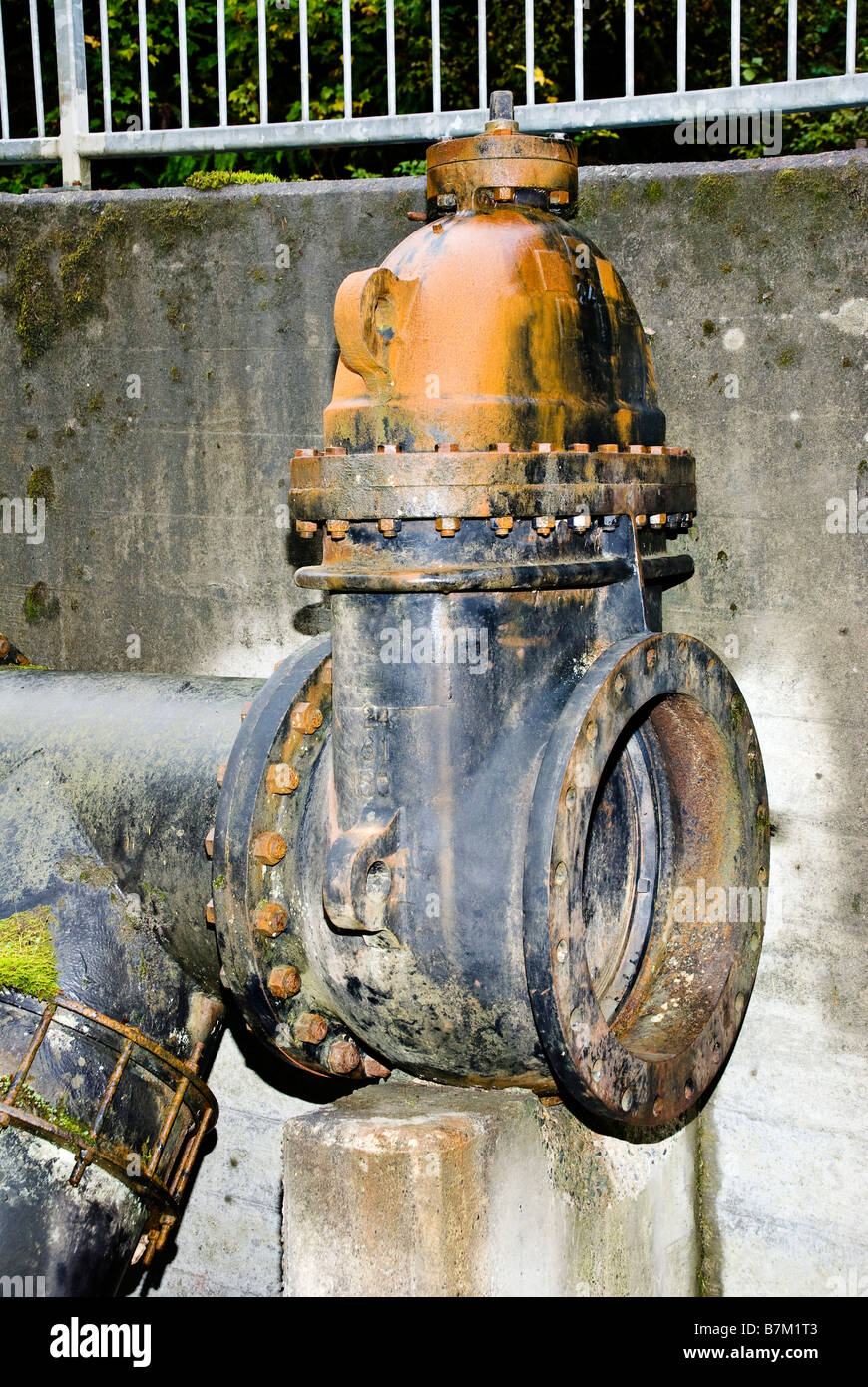 Exposed valve hi-res stock photography and images - Alamy