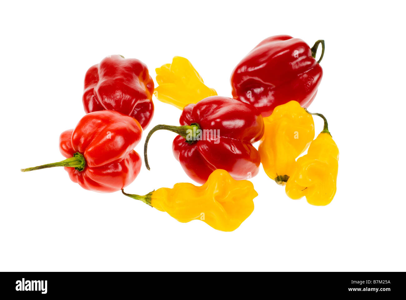 Suriname isolated hi-res stock photography and images - Alamy