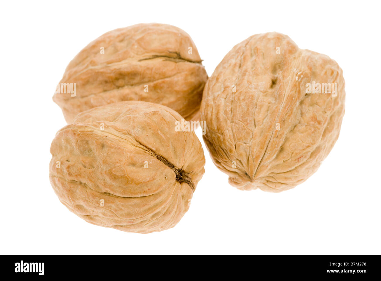 fresh walnuts isolated on a white background Stock Photo - Alamy