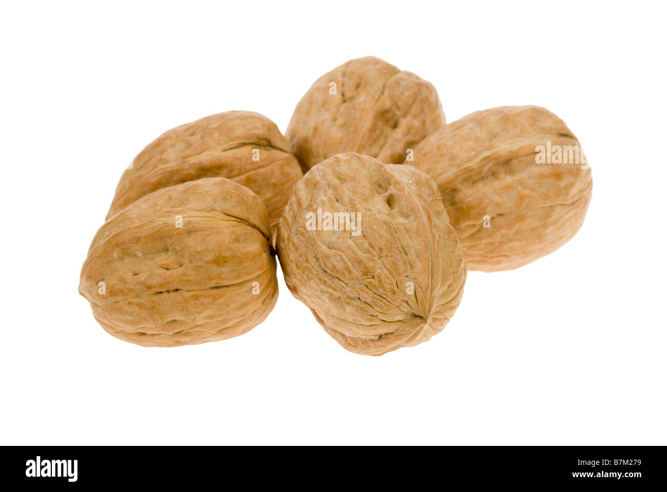 Walnut genus hi-res stock photography and images - Alamy
