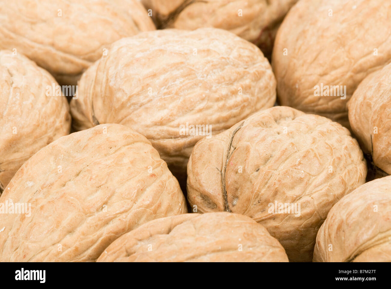 close up of walnuts for background Stock Photo - Alamy