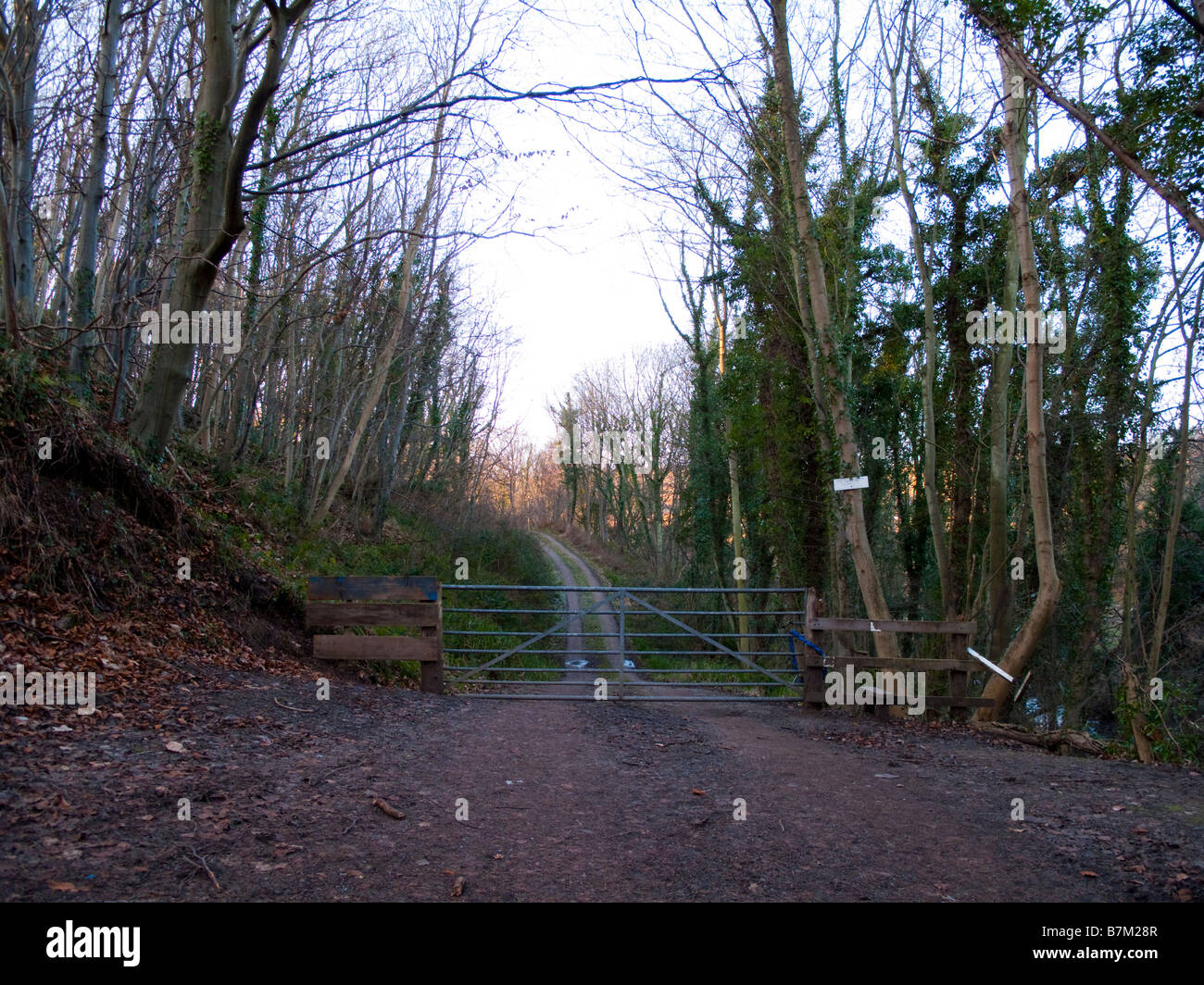 Dirt road track path hi-res stock photography and images - Alamy